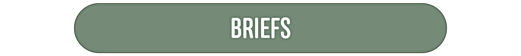 Click to shop Briefs